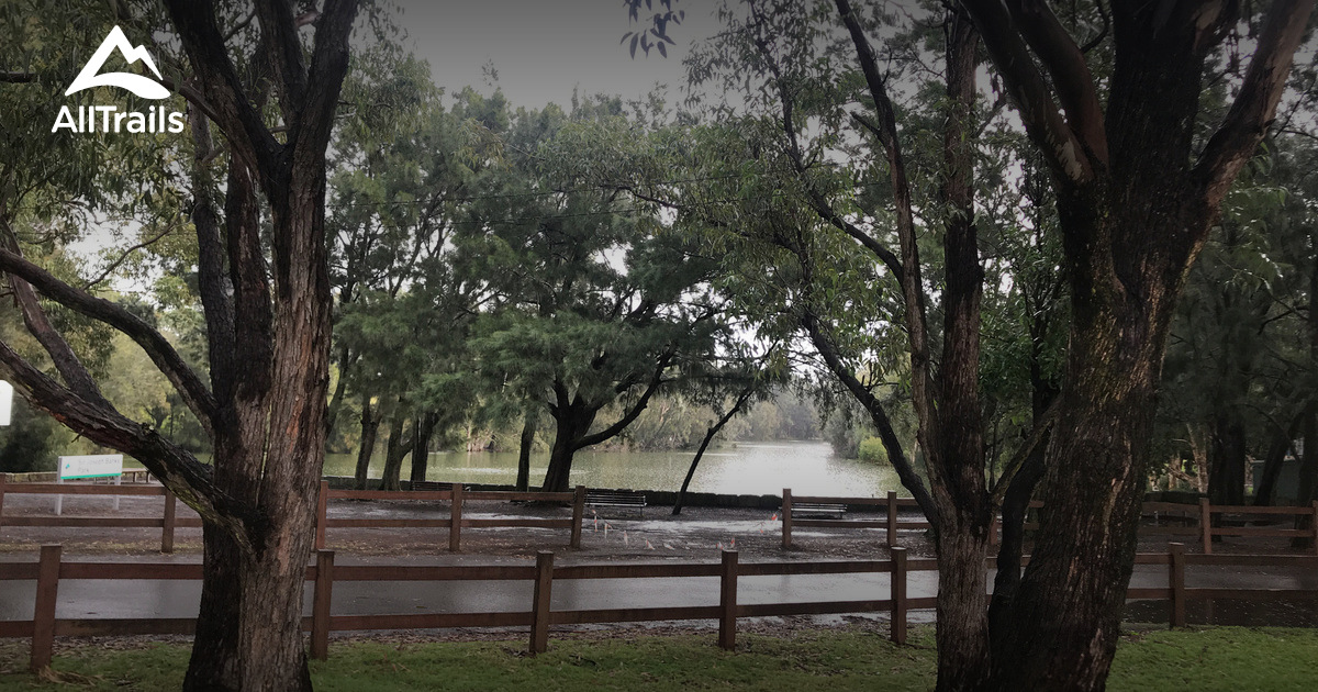 Best hikes and trails in Botany | AllTrails