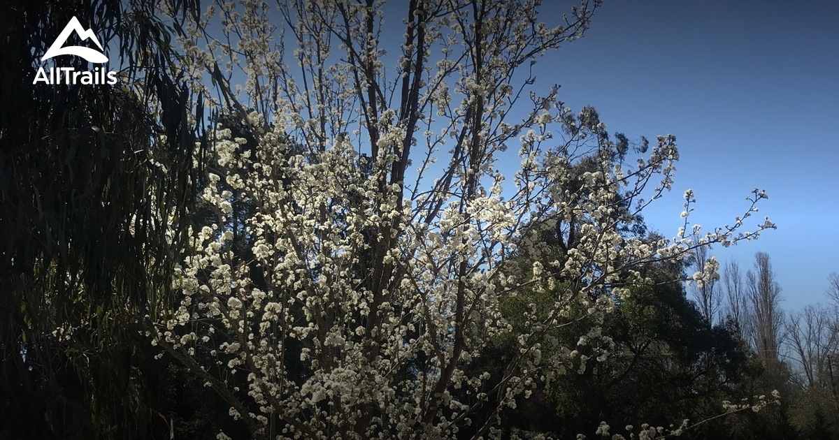 Best hikes and trails in Burradoo | AllTrails