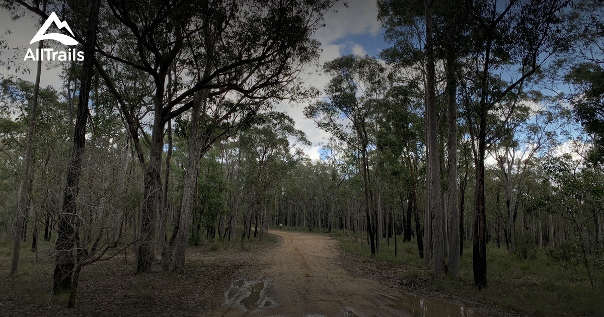 10 Best trails and hikes in Cessnock | AllTrails