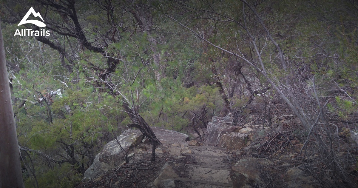 Best hikes and trails in Colo Heights | AllTrails