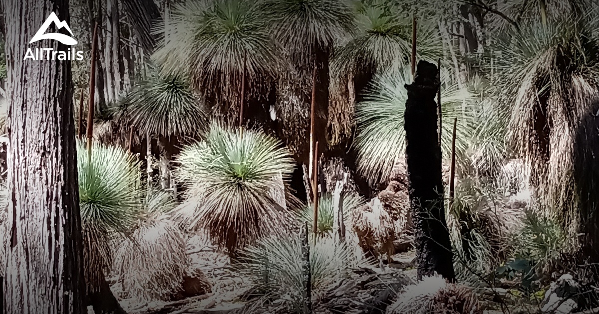 Best hikes and trails in Coolah | AllTrails