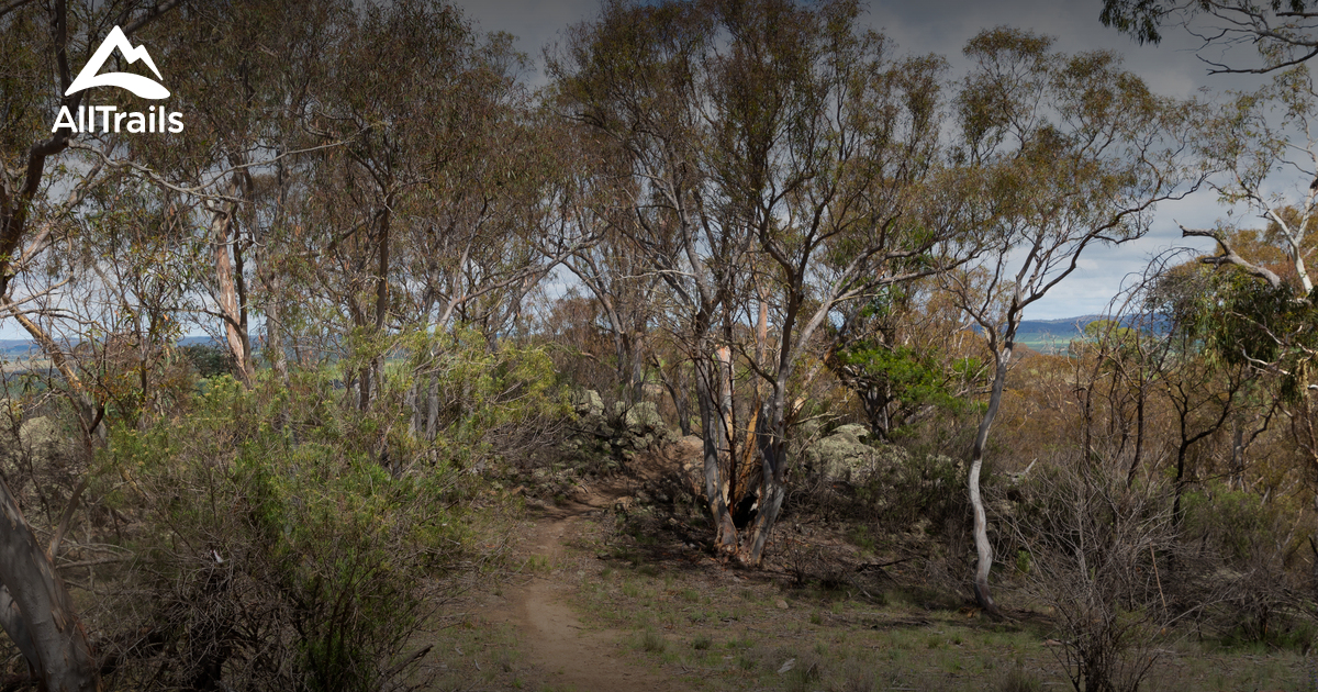 Best hikes and trails in Cooma | AllTrails