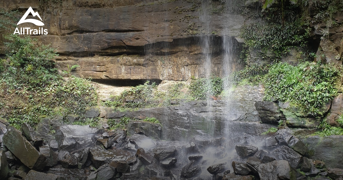 Best trails in Cooranbong, New South Wales | AllTrails