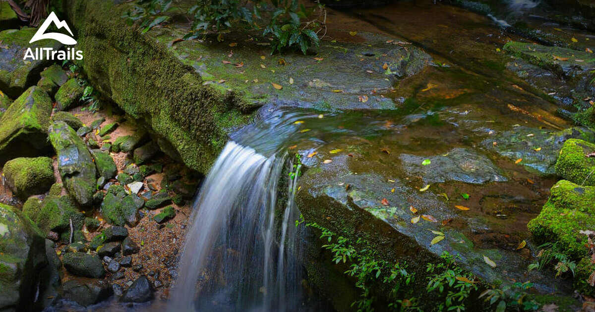 10 Best trails and hikes in Cooranbong | AllTrails