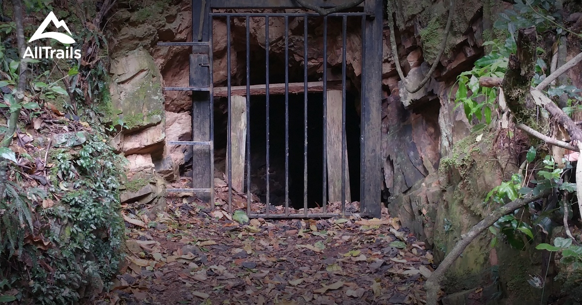 Best forest trails in Copeland | AllTrails