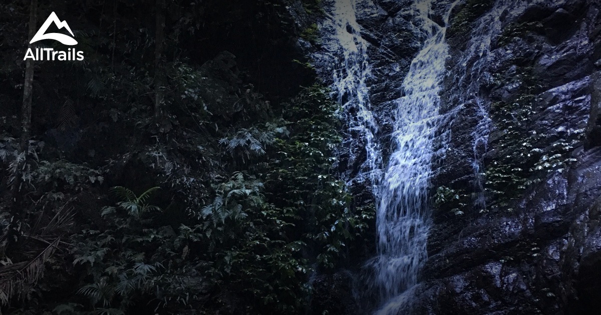 Best walking trails in Coramba | AllTrails