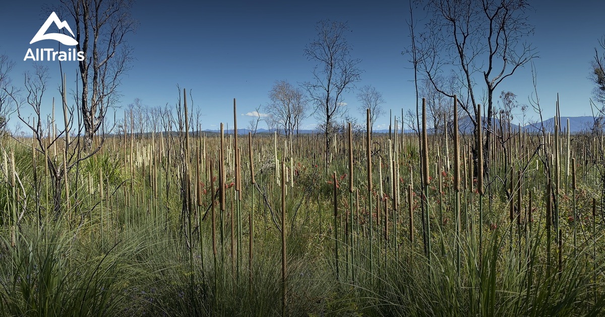 Best hikes and trails in Crowdy Head | AllTrails