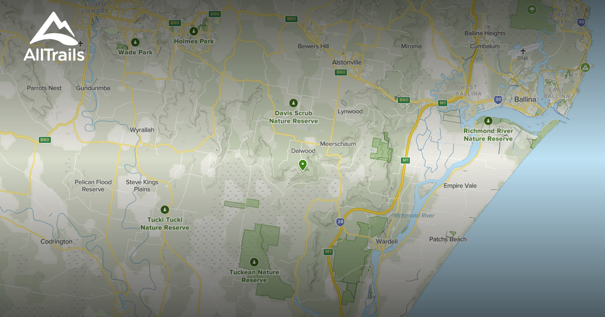 Best hikes and trails in Dalwood | AllTrails