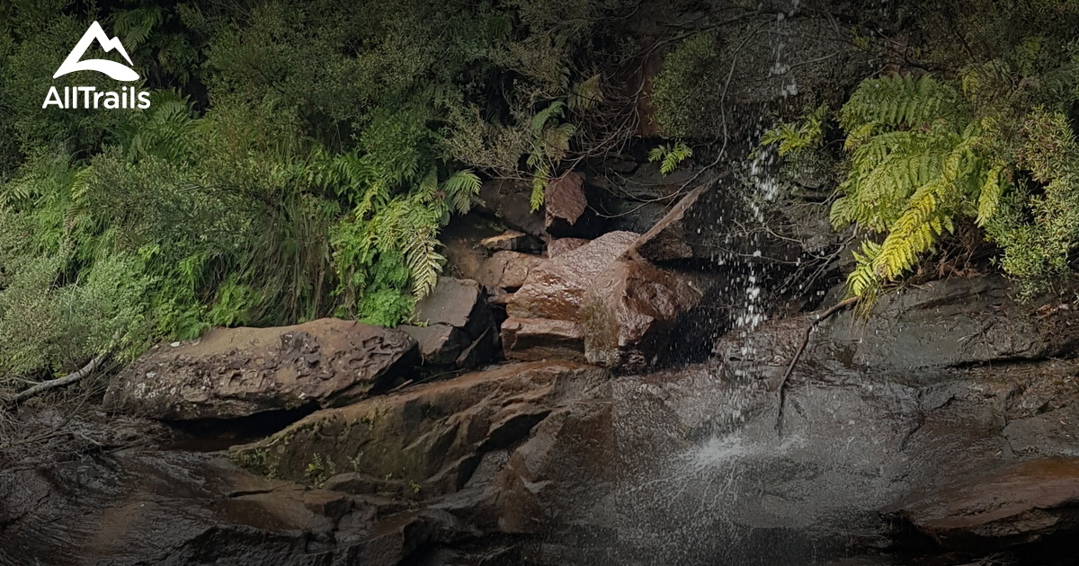 Best hikes and trails in Darkes Forest | AllTrails