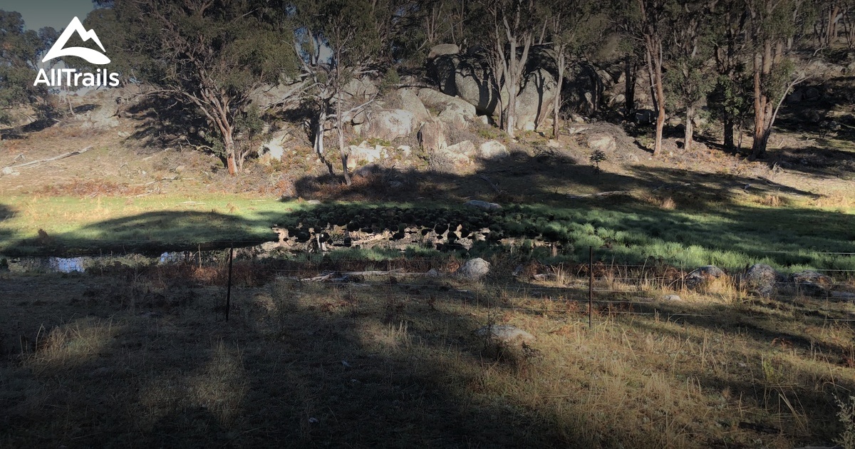 Best hikes and trails in Deepwater | AllTrails