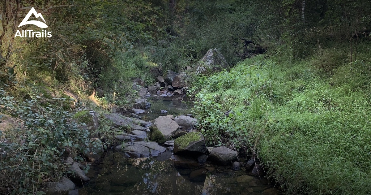Best hikes and trails in Dungog | AllTrails
