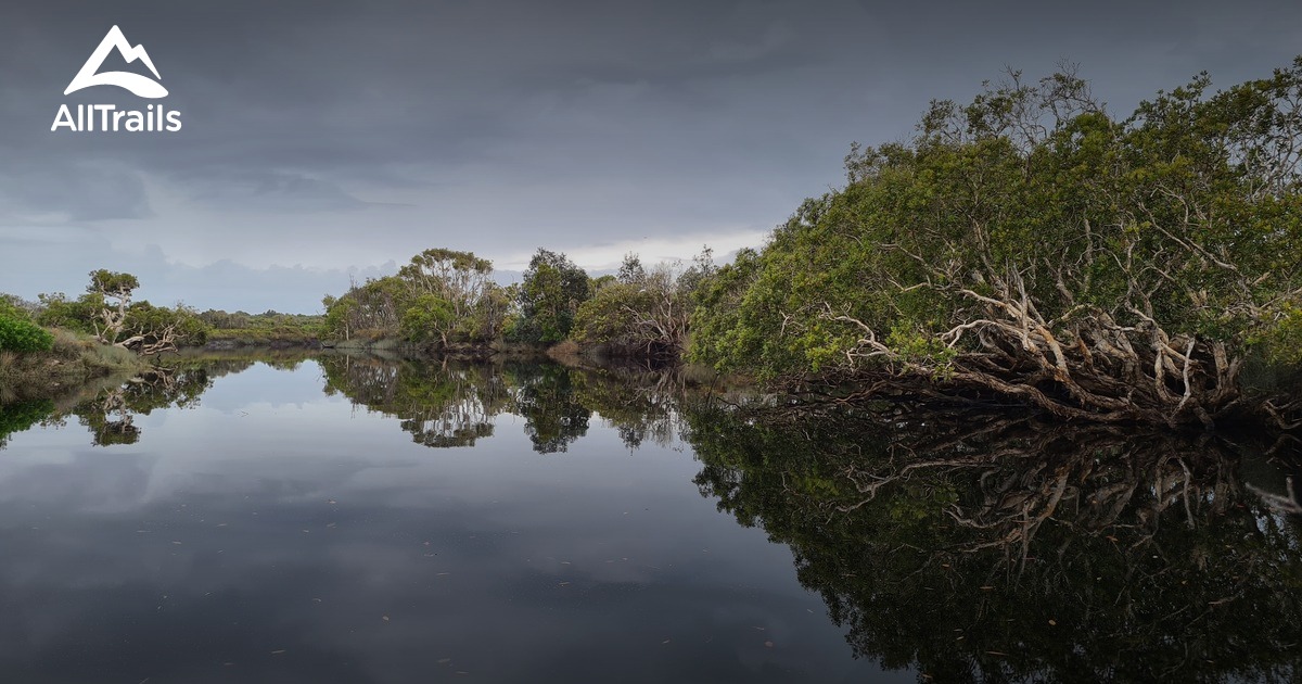 Best beach trails in Esk | AllTrails