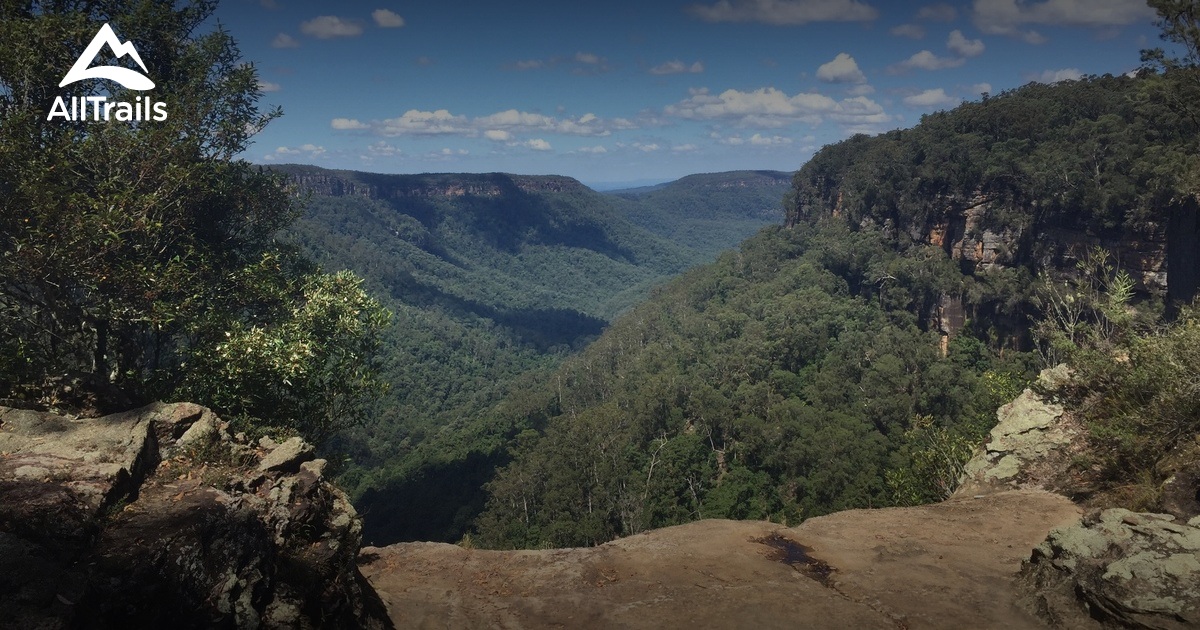 10 Best trails and hikes in Fitzroy Falls | AllTrails