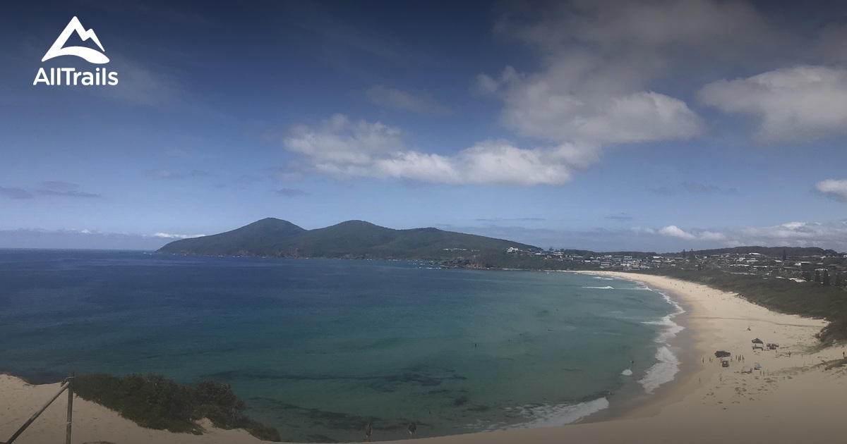 10 Best trails and hikes in Forster | AllTrails