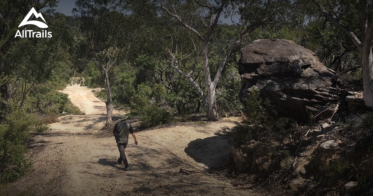 Best hikes and trails in Glenorie | AllTrails