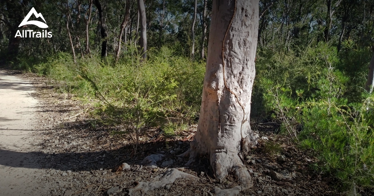 Best hikes and trails in Grays Point | AllTrails