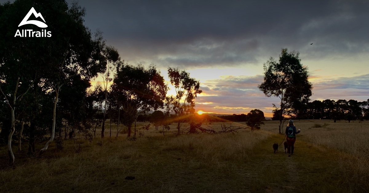 Best hikes and trails in Gundaroo | AllTrails