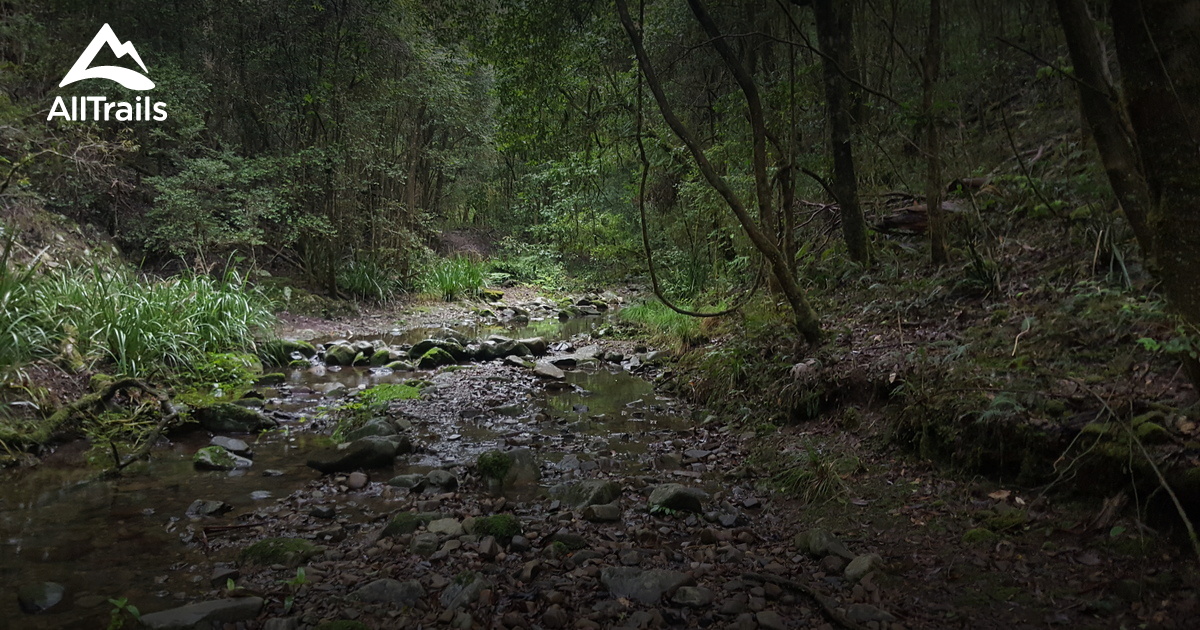 Best forest trails in Invergordon | AllTrails