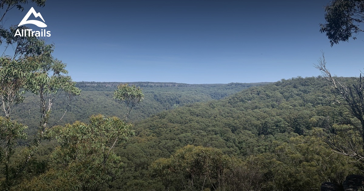 Best forest trails in Jerrawangala | AllTrails