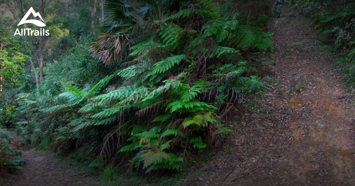 Best Trails near Kangaroo Valley, New South Wales Australia | AllTrails