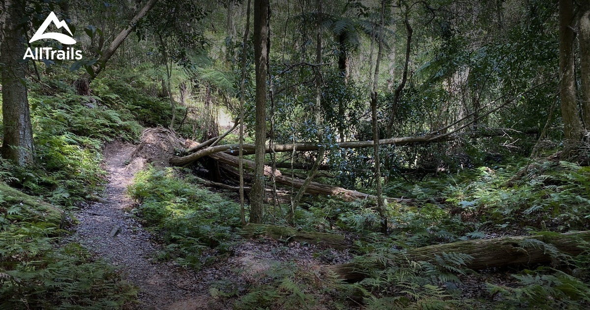 Best hikes and trails in Kianga | AllTrails