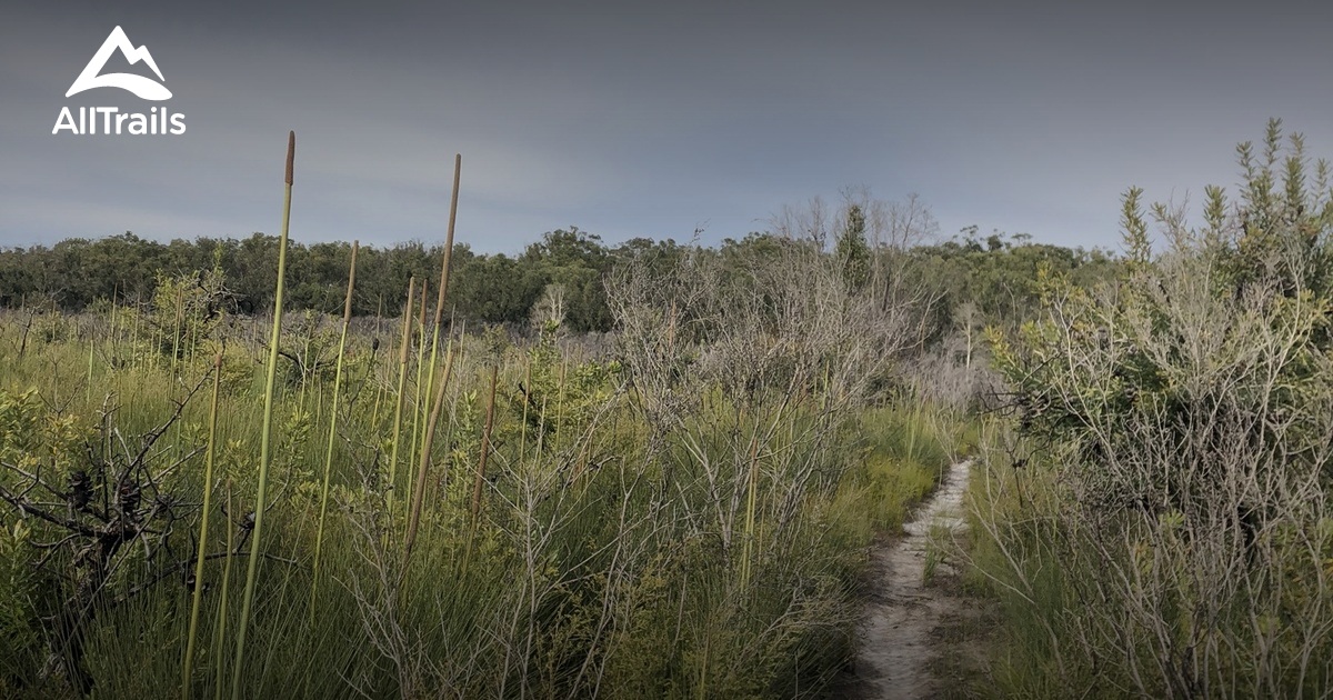 Best walking trails in Lake Innes | AllTrails