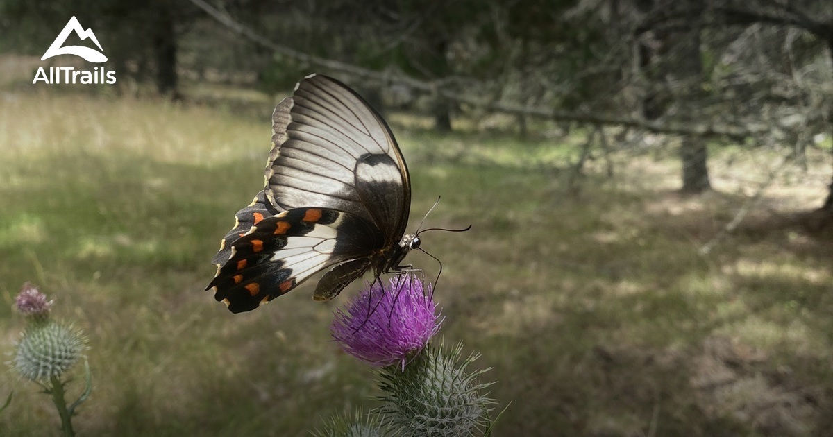 Best hikes and trails in Liston | AllTrails