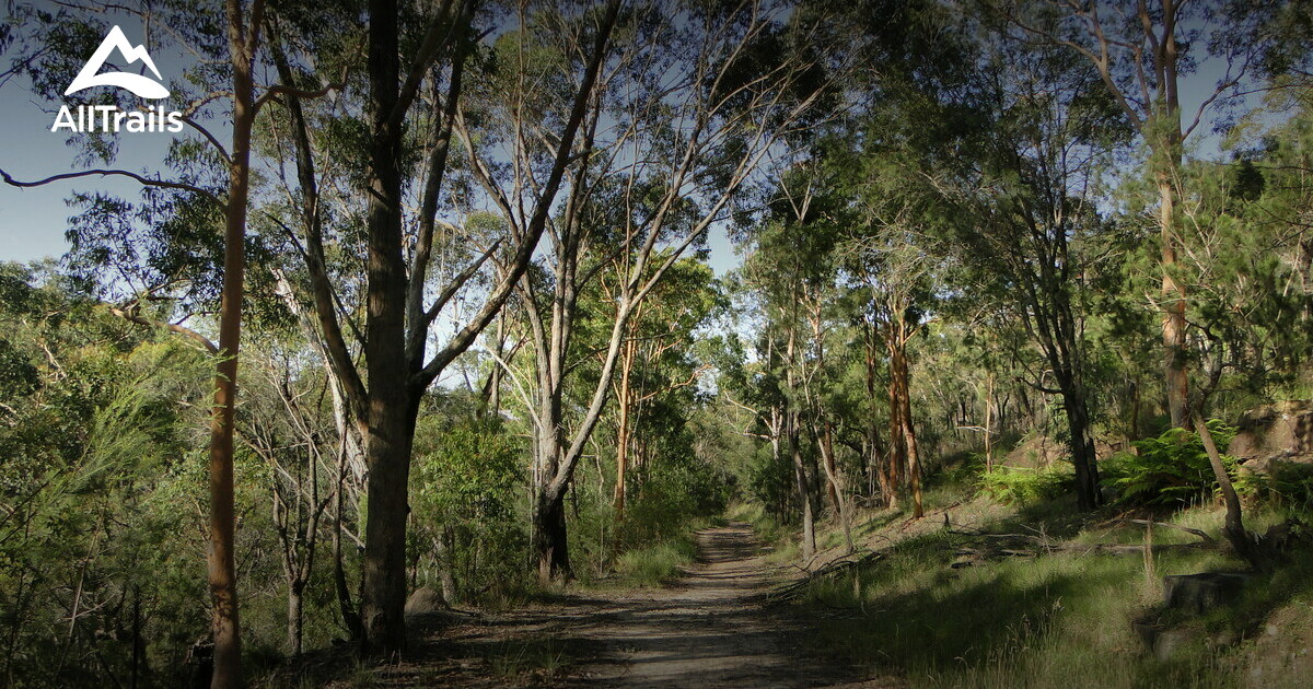 Best walking trails in Menai | AllTrails