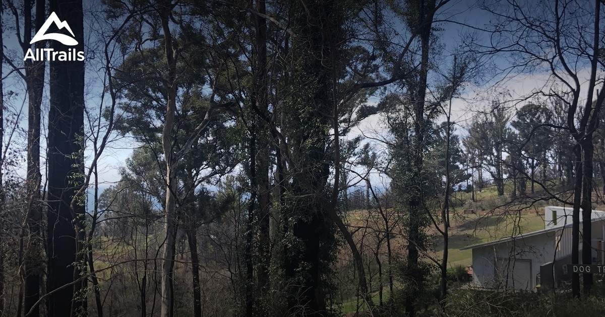 2023 Best Trails, Walks, and Paths in Mogo | AllTrails