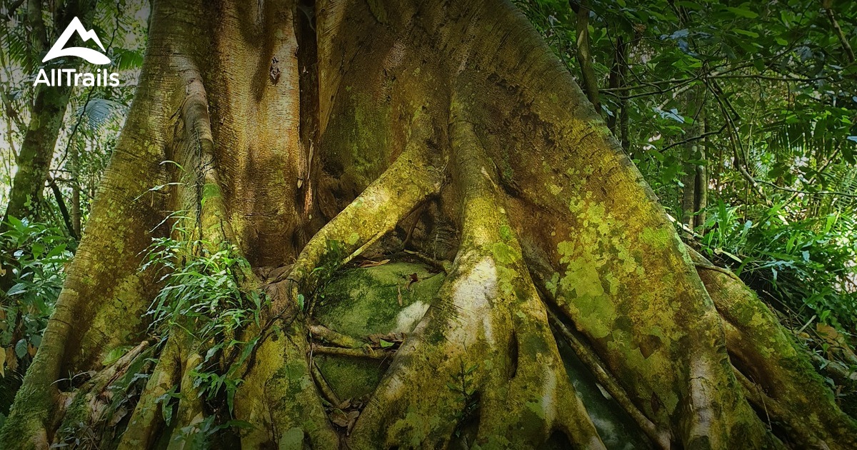 Best hikes and trails in Mount Elliot | AllTrails