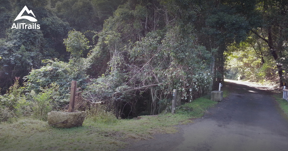 Best Trails near Mount Keira, New South Wales Australia | AllTrails