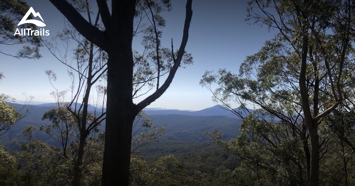 Best river trails in Mount Royal | AllTrails