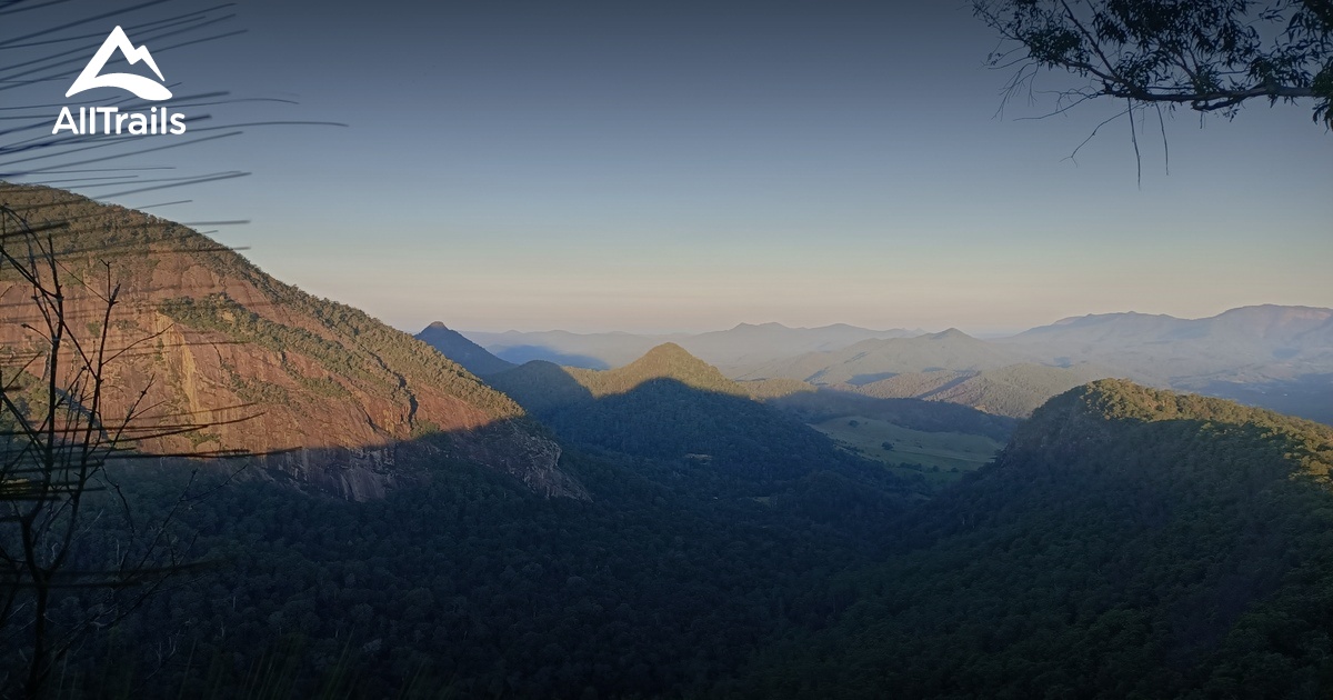 Best walking trails in Mount Warning | AllTrails