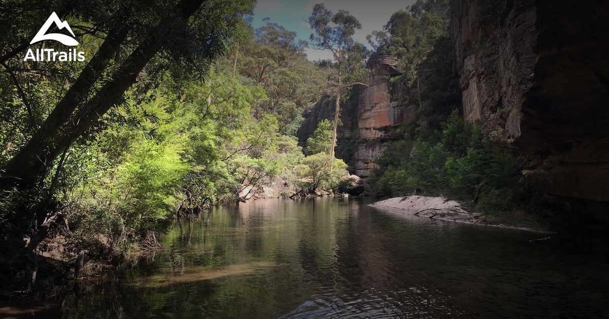 Best trails in Mount Wilson, New South Wales | AllTrails