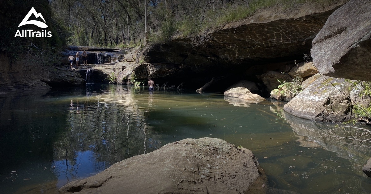 Best hikes and trails in Mowbray Park | AllTrails