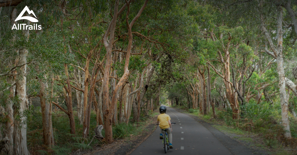 10 Best trails and hikes in Newcastle | AllTrails