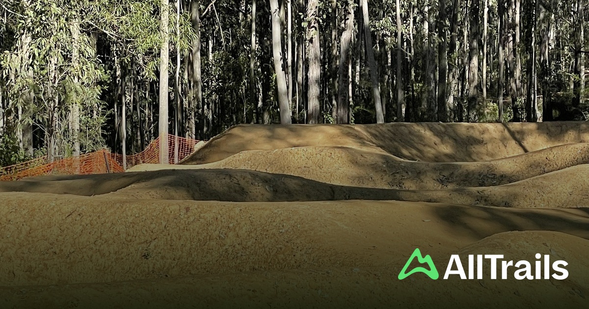 Best forest trails in Ourimbah | AllTrails