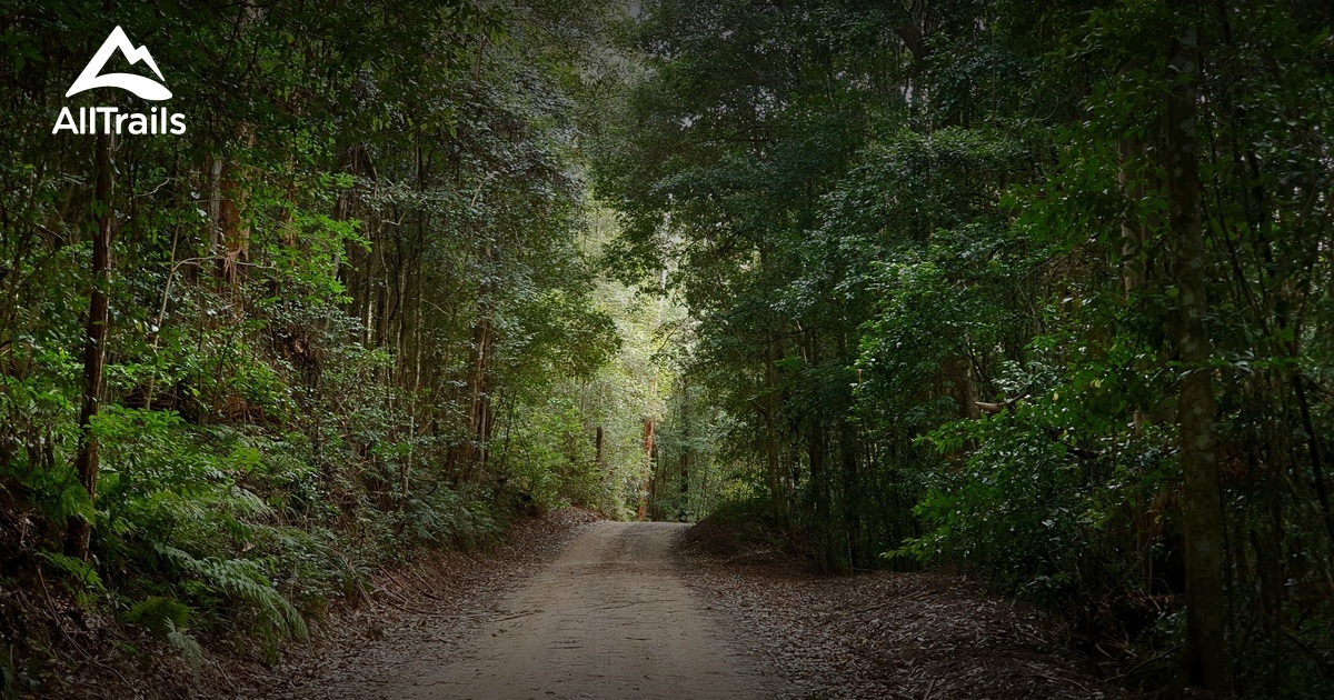 De beste routes langs rivieren in Palm Grove | AllTrails