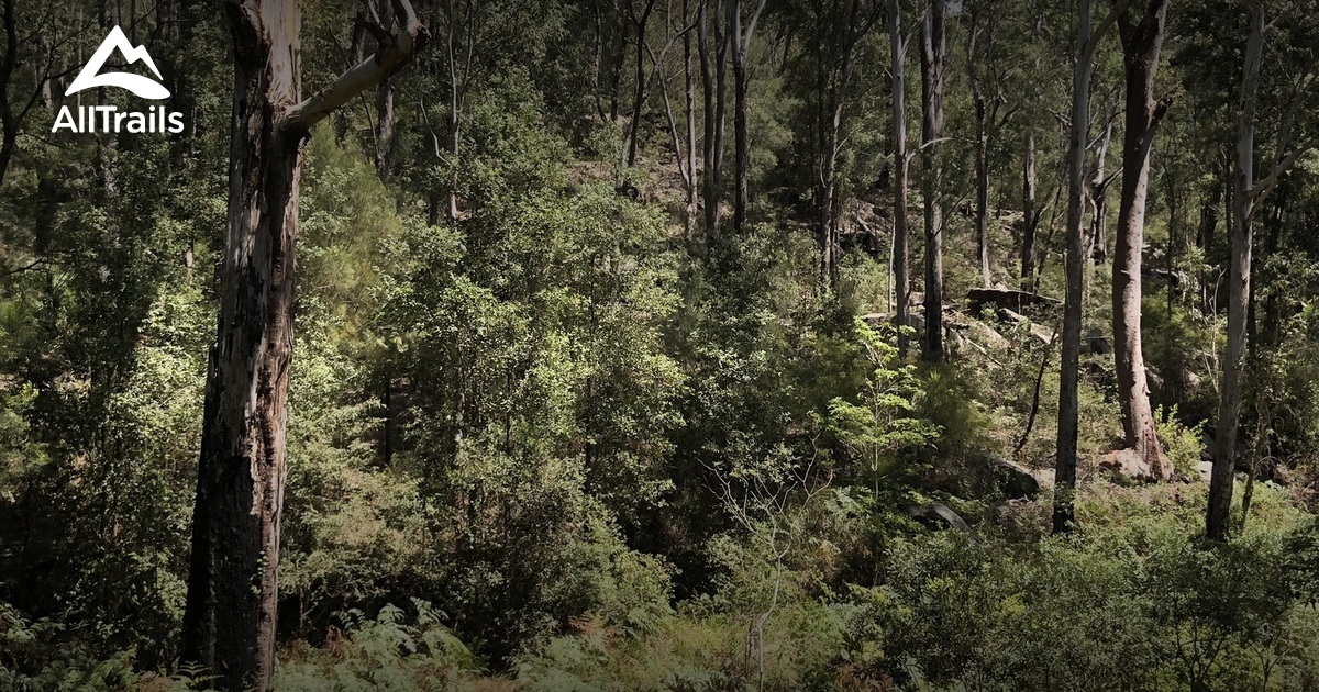 Best hikes and trails in Pennant Hills | AllTrails