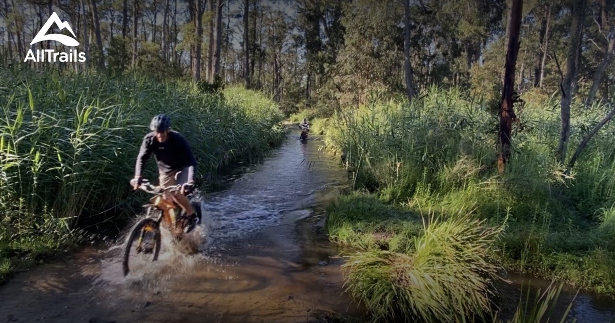 Best forest trails in Penrose | AllTrails