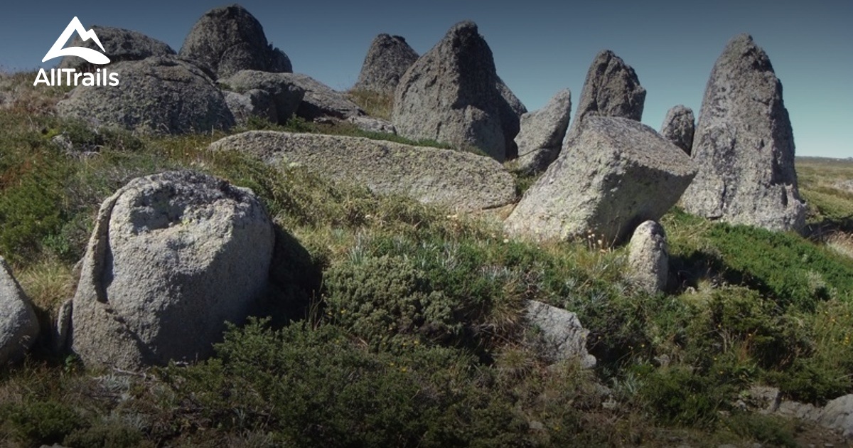 10 Best trails and hikes in Perisher Village | AllTrails