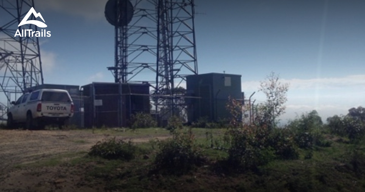 Best walking trails in Pokolbin | AllTrails