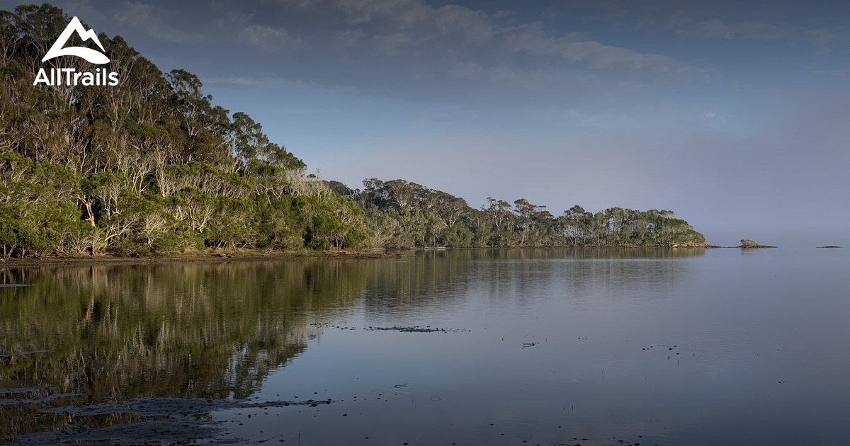 Best hikes and trails in Potato Point | AllTrails