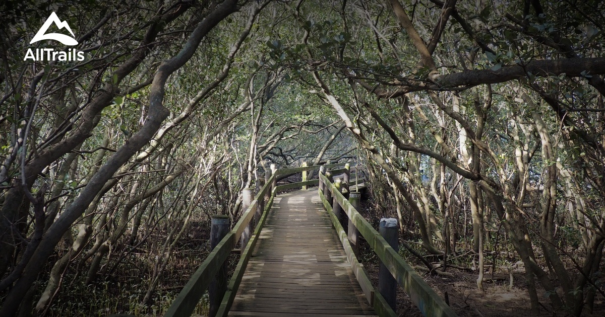 Best hikes and trails in Riverwood | AllTrails