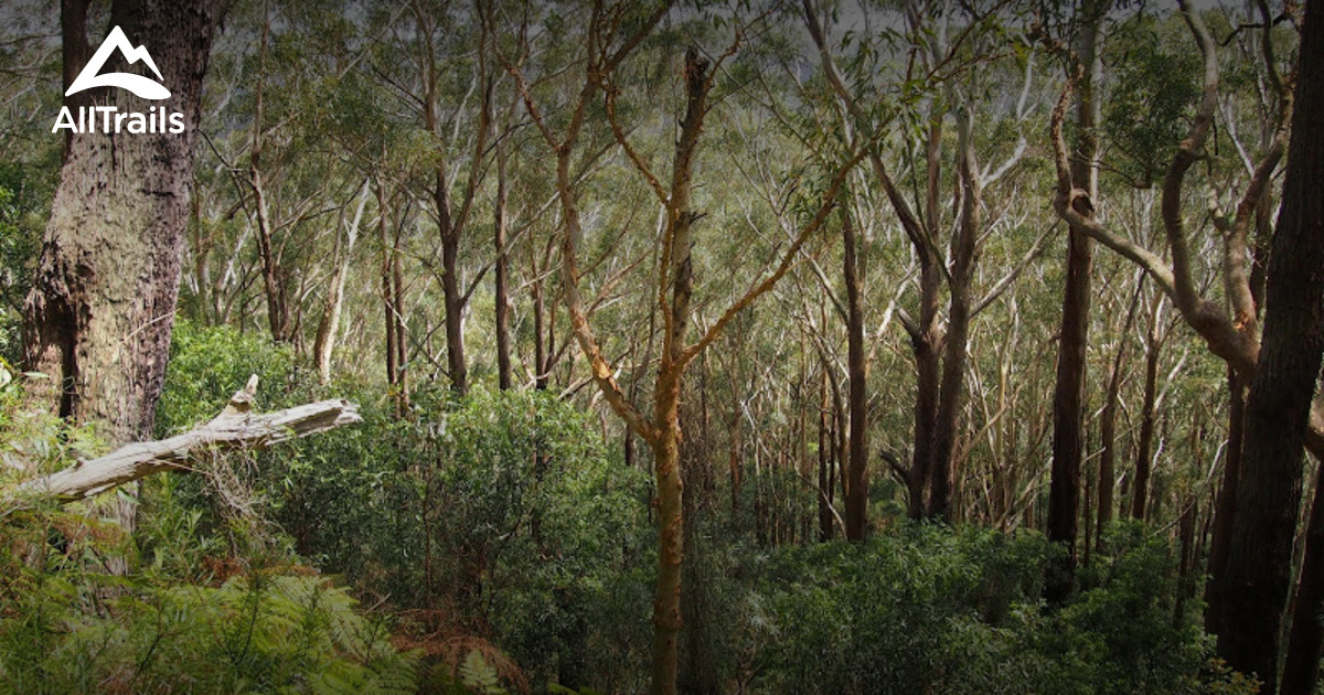 Best hikes and trails in Stanwell Park | AllTrails