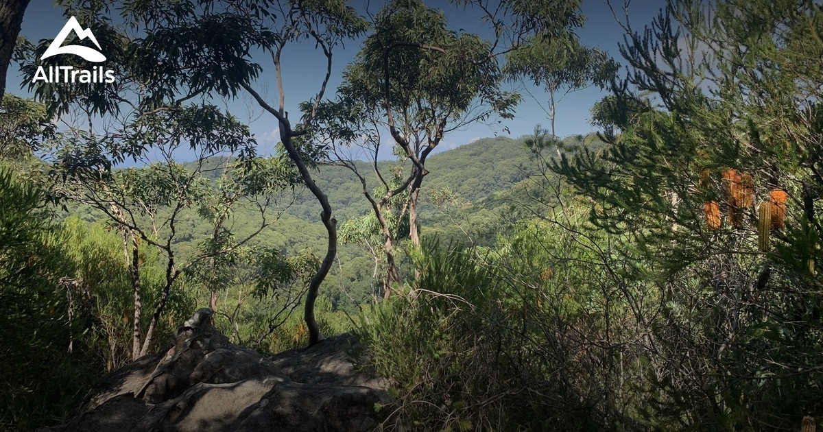 Best hikes and trails in Stanwell Tops | AllTrails