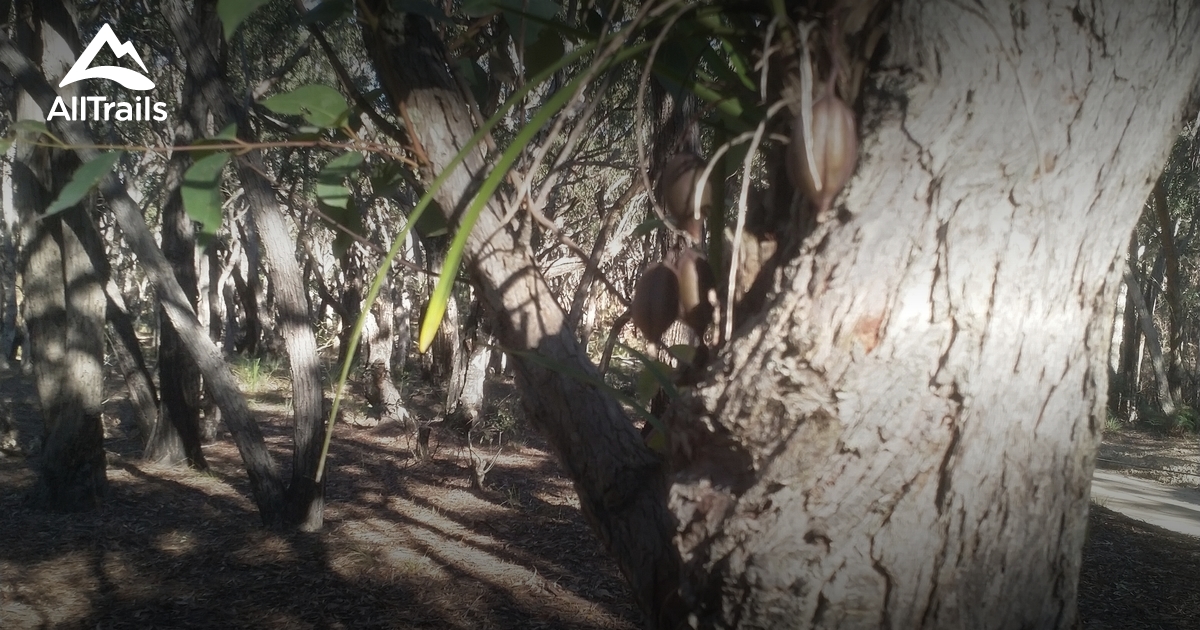 Best walking trails in Tabourie Lake | AllTrails