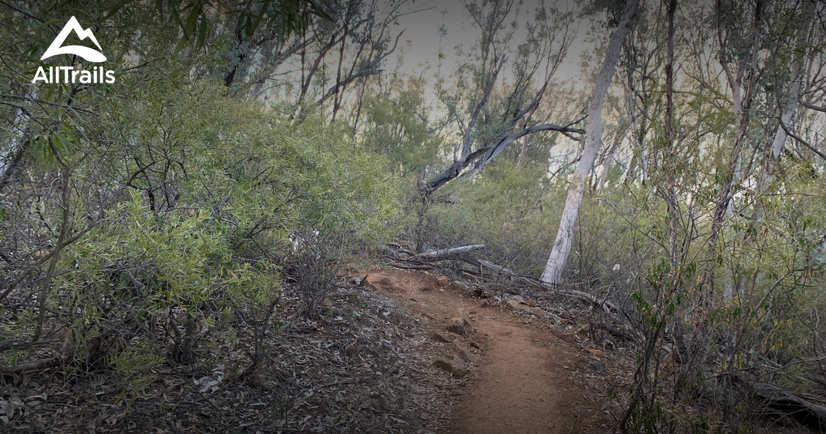 Best hikes and trails in Tamworth | AllTrails