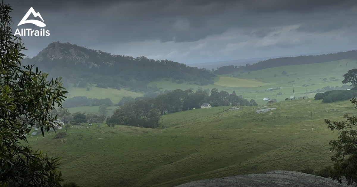 Best hikes and trails in Tilba Tilba | AllTrails