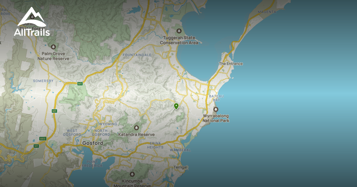 Best forest trails in Tumbi Umbi | AllTrails